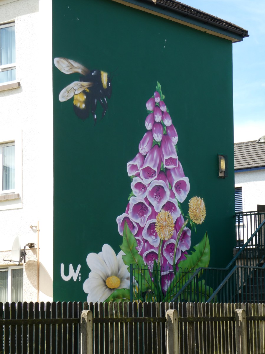 The Street Art of Derry | London Calling Blog
