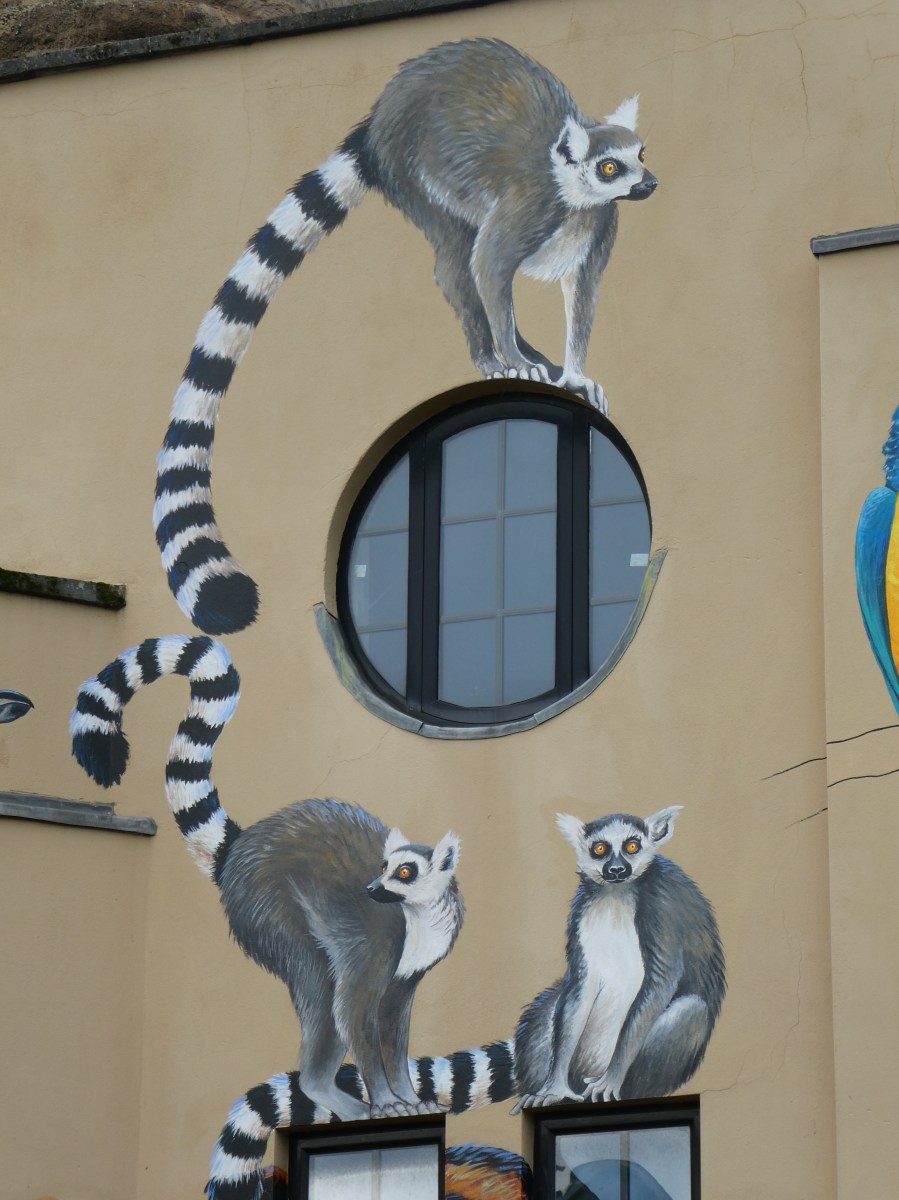 New Jane Mutiny Street Art at ZSL London Zoo | London Calling Blog
